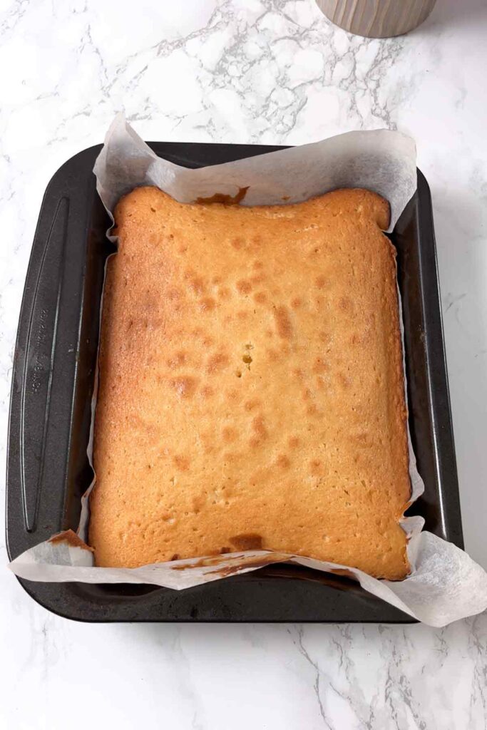 Old School Dinner Sponge Cake (Sprinkle Traybake)